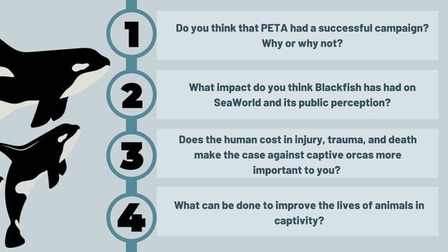 Blackfish Documentary Slide Show | PDF | Documentary | Genres