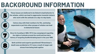 Blackfish Documentary Slide Show | PDF
