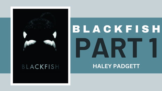 Blackfish Documentary Slide Show | PPT