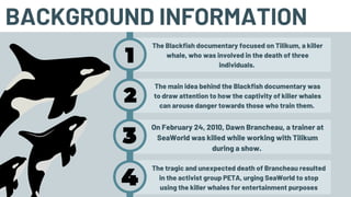 Blackfish Documentary Slide Show | PPT