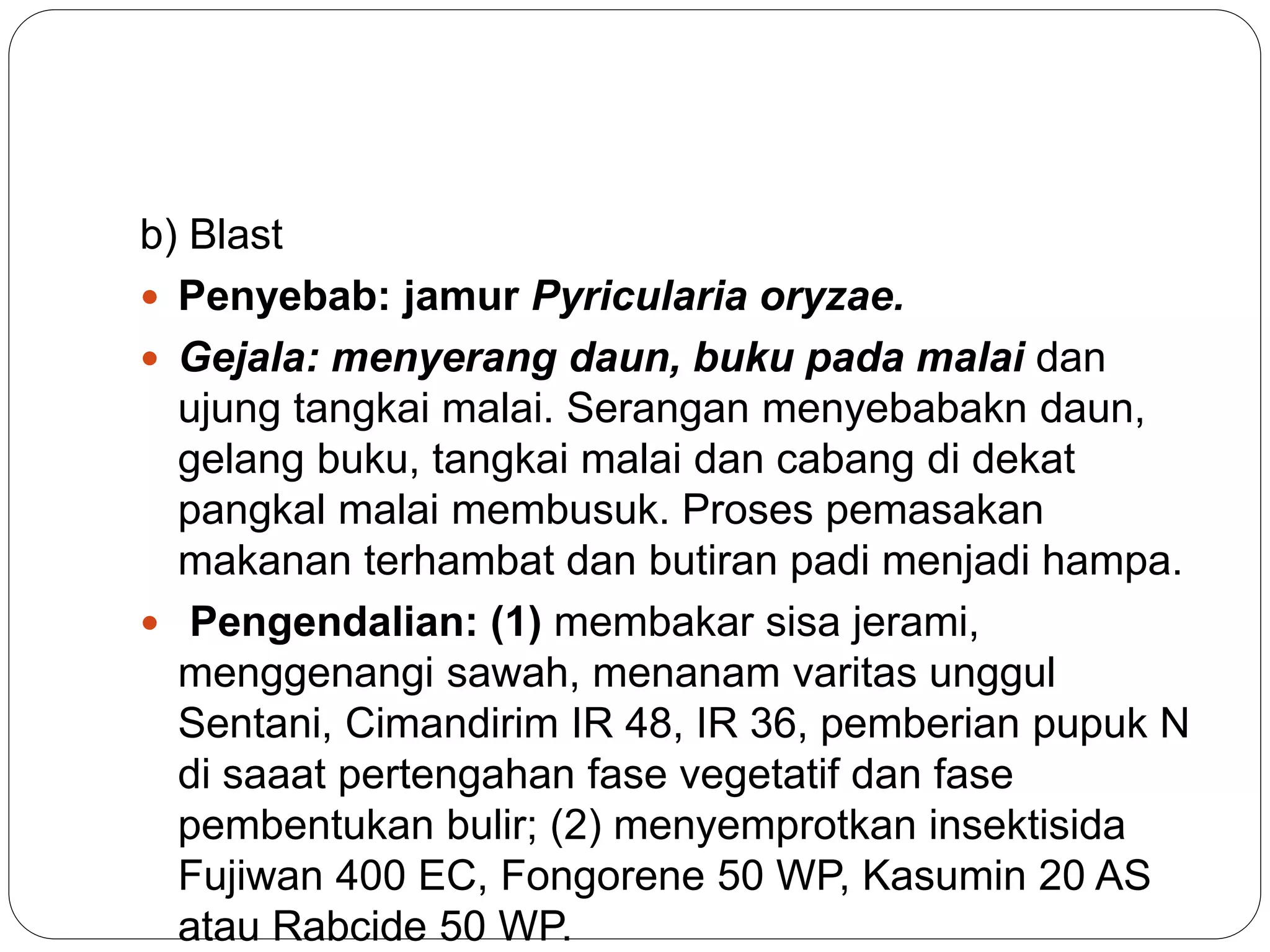 Budidaya padi | PPTX