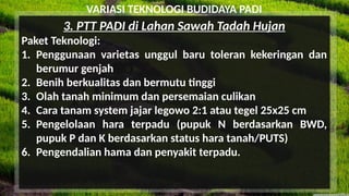 Pentingnya Penggunaan Varietas Unggul Baru dalam Budidaya Tanaman Padi ...