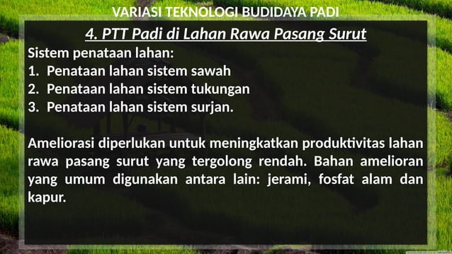 Pentingnya Penggunaan Varietas Unggul Baru dalam Budidaya Tanaman Padi | PPT