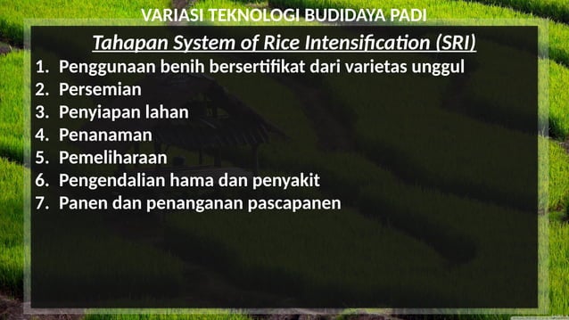 Pentingnya Penggunaan Varietas Unggul Baru dalam Budidaya Tanaman Padi | PPT