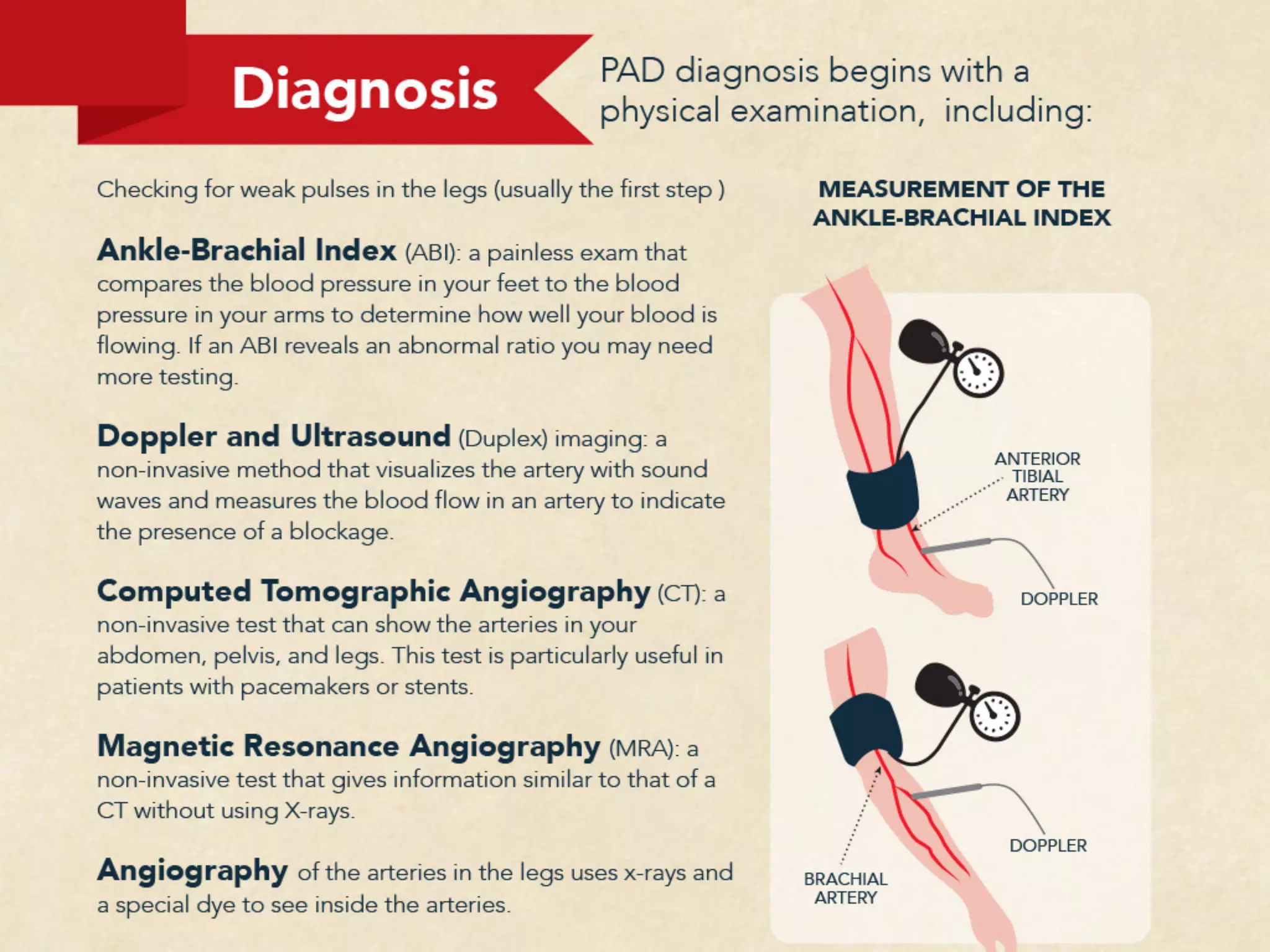 Peripheral Artery Disease [INFOGRAPHIC] | PDF