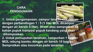 MANFAAT DAN CARA PEMBUATAN MOL REBUNG BAMBU | PPT
