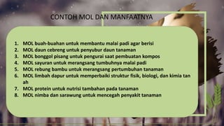 MANFAAT DAN CARA PEMBUATAN MOL REBUNG BAMBU | PPT
