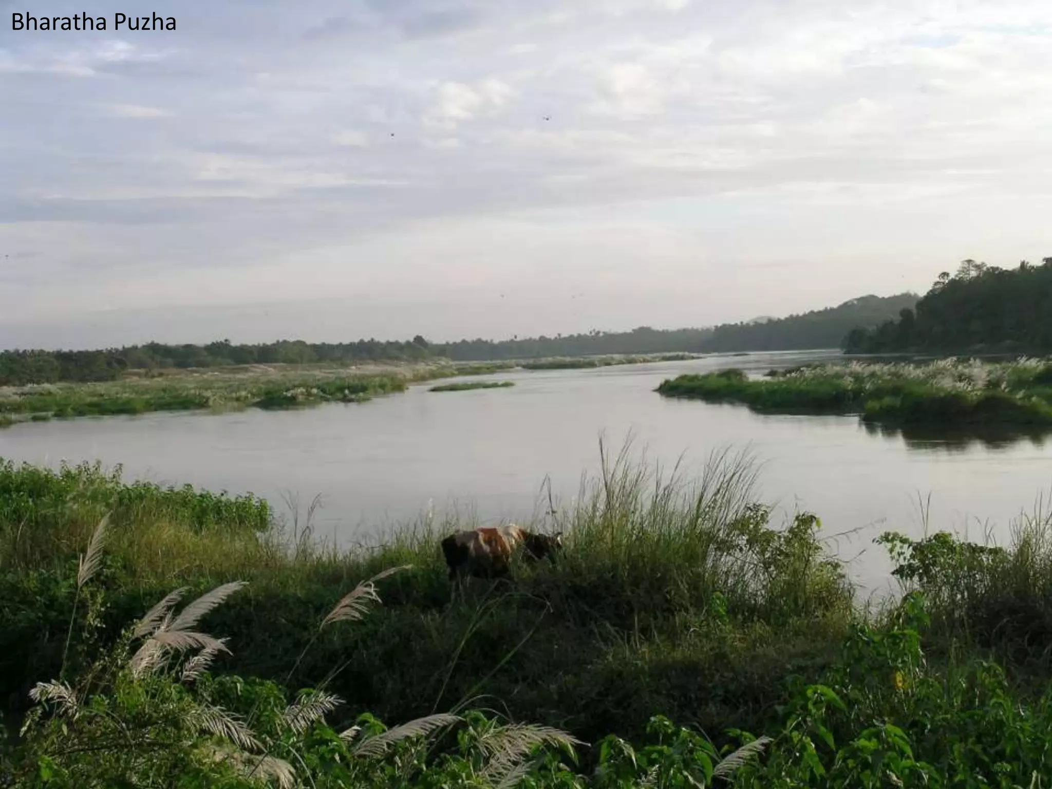 Padinharekara beach and nearest attractions | PPTX