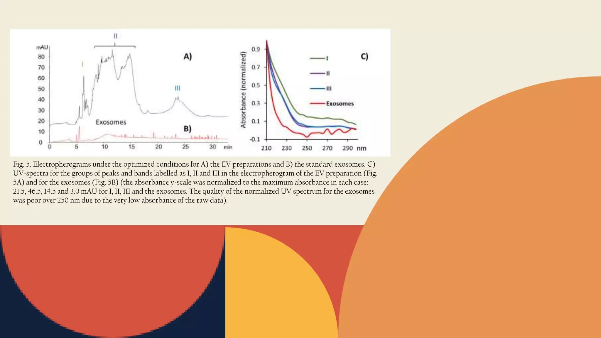 A simple method for the analysis of extracellular vesicles enriched for ...