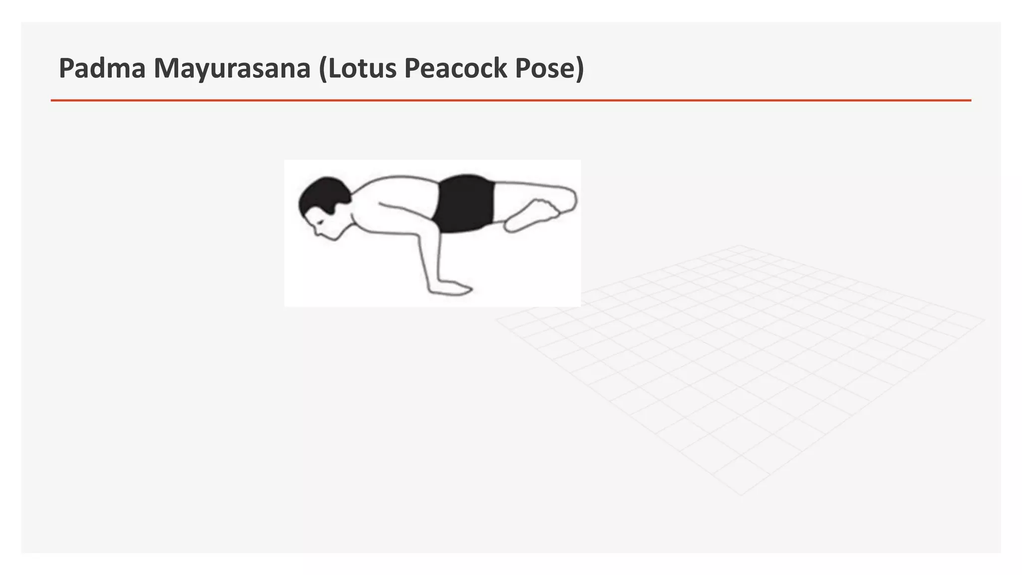Padma Mayurasana (Lotus Peacock Pose | PPT