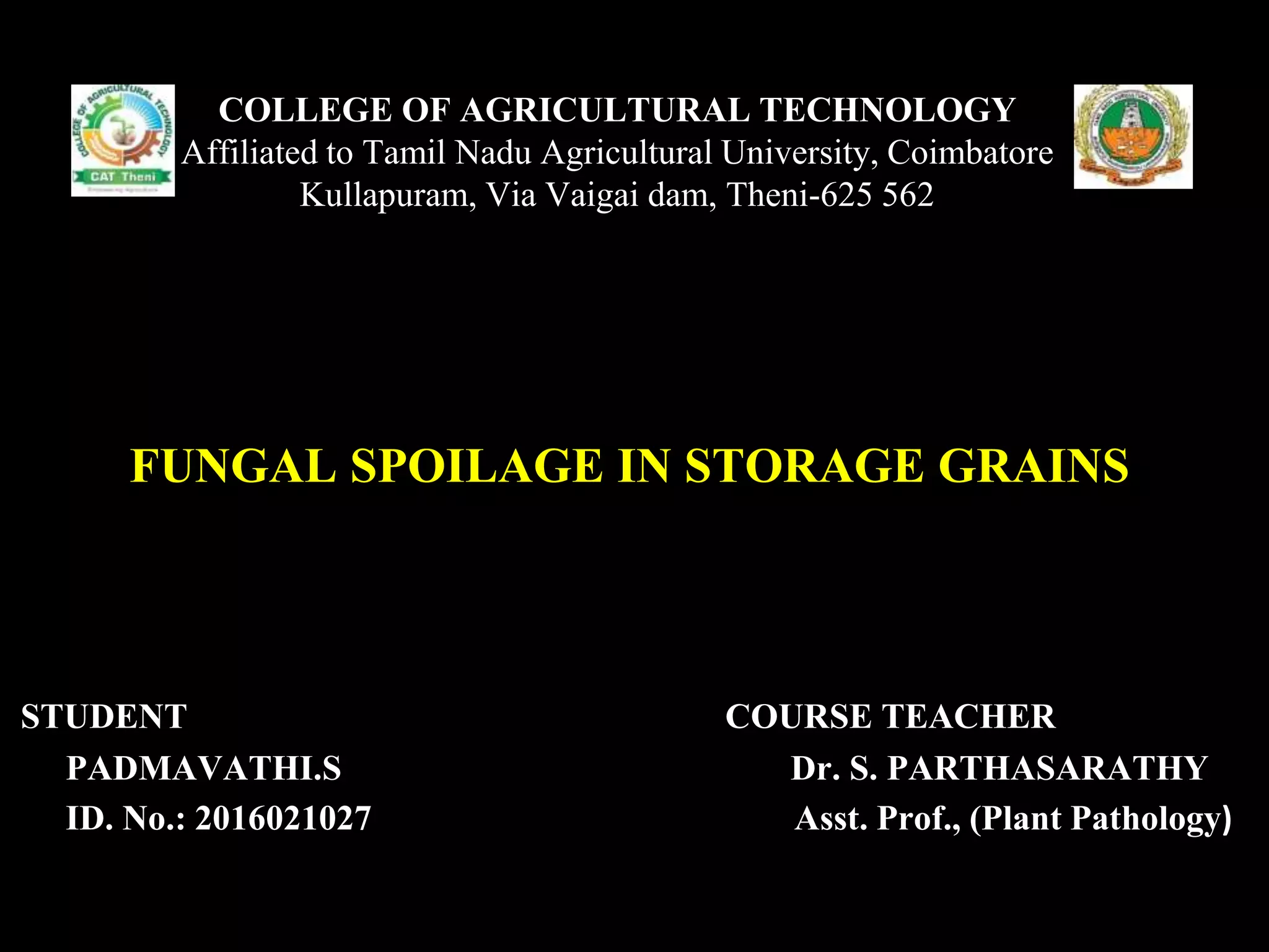 Fungal spoilage in storage grains | PPTX