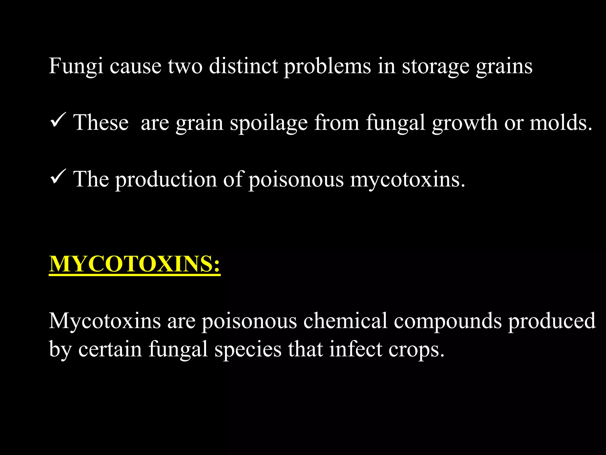 Fungal spoilage in storage grains | PPTX