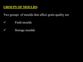 Fungal spoilage in storage grains | PPTX