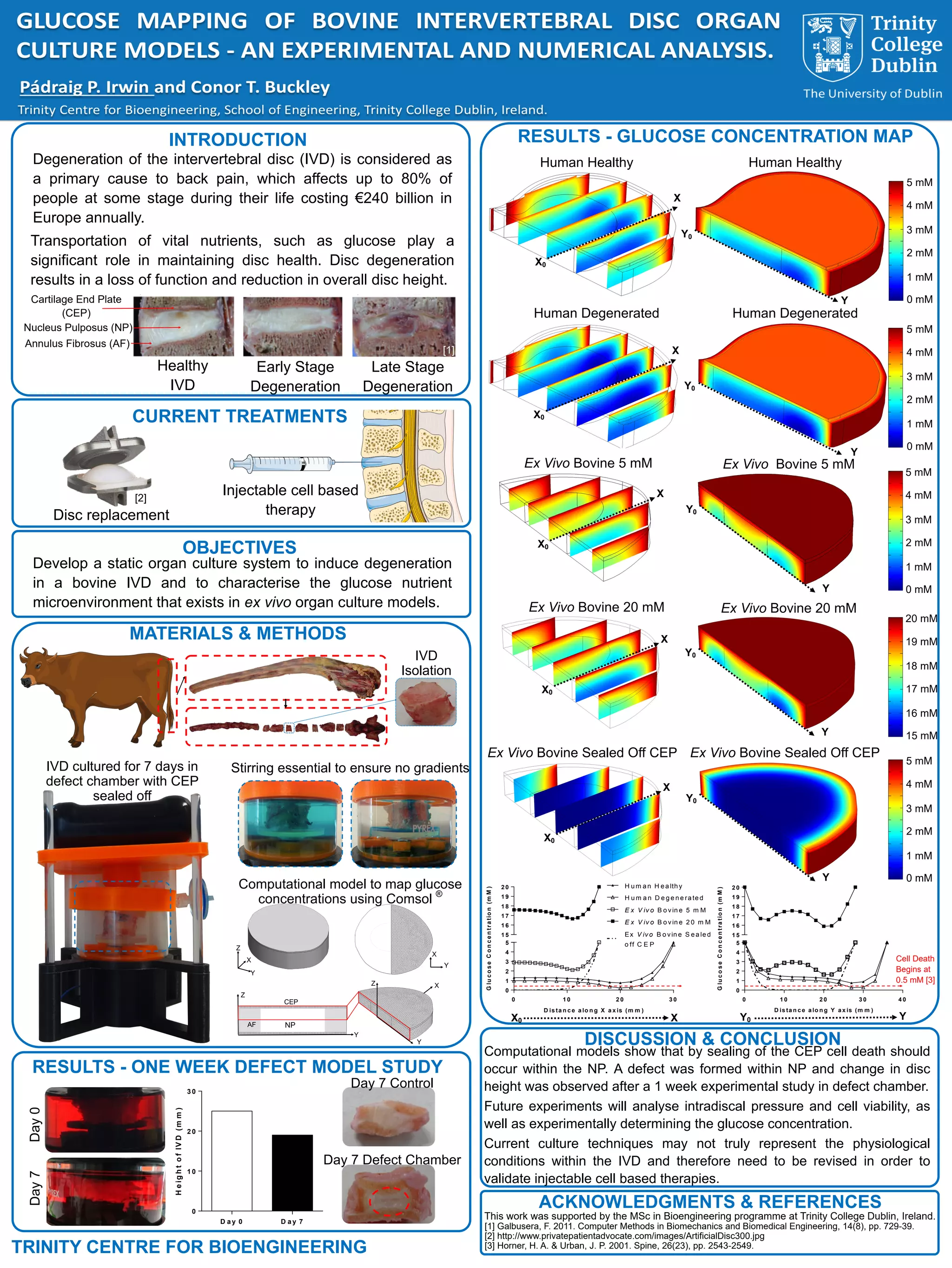 Dissertation Poster for Trinity College Dublin | PDF