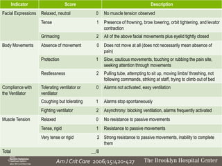 Pain Agitation Delirium PAD RN Final 329.ppt
