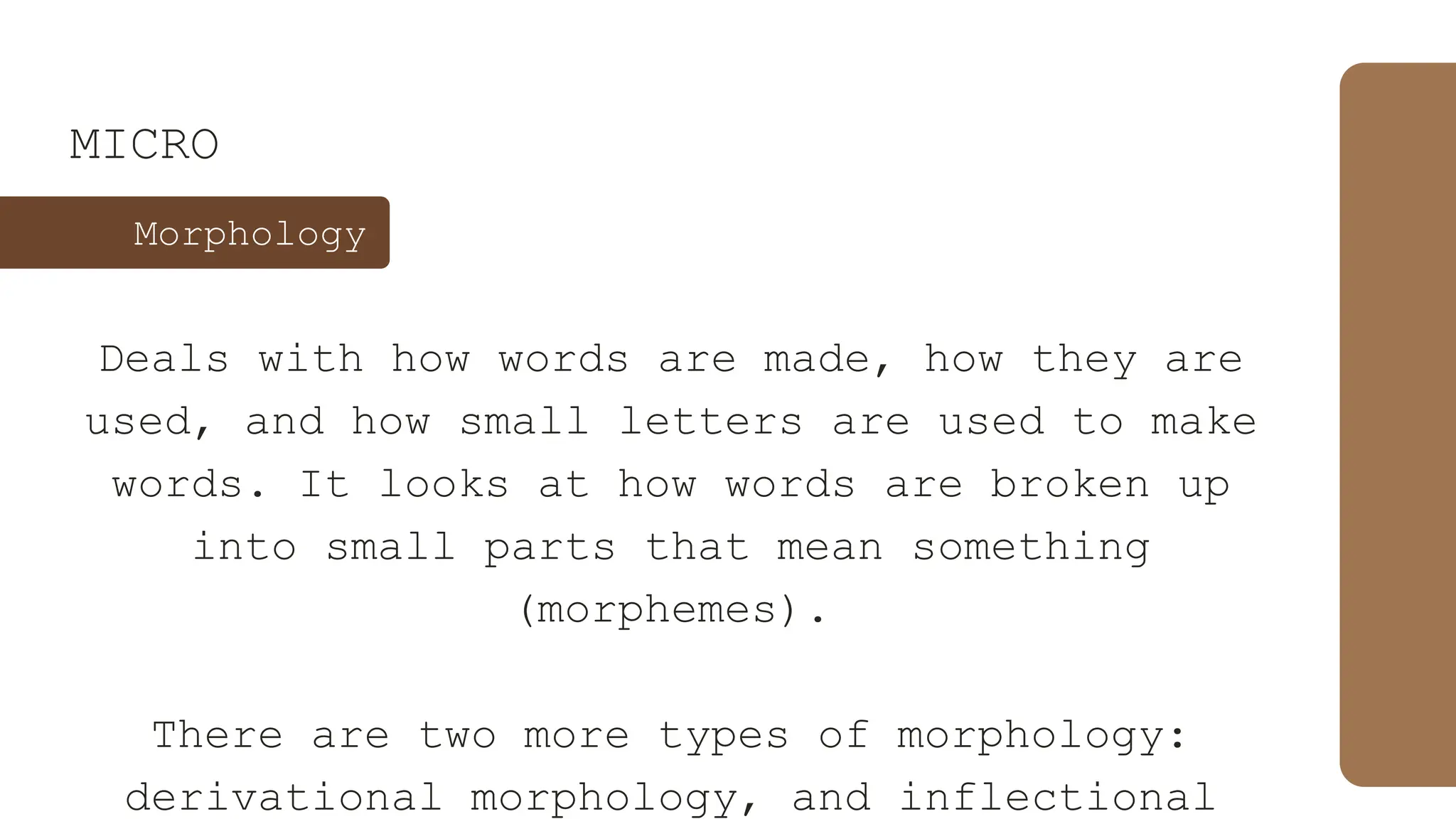 micro and macro linguistics | PPTX