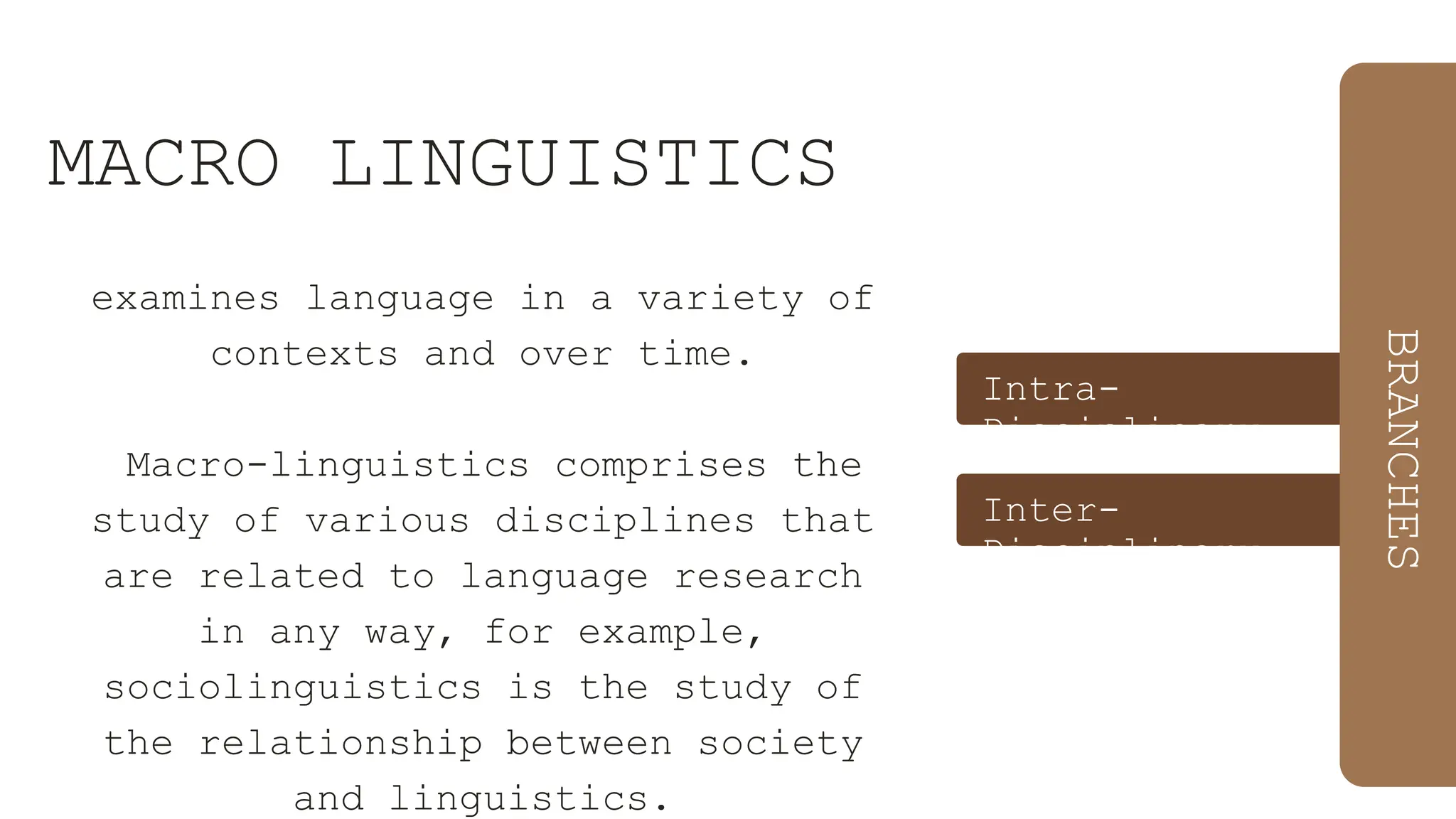 micro and macro linguistics | PPTX