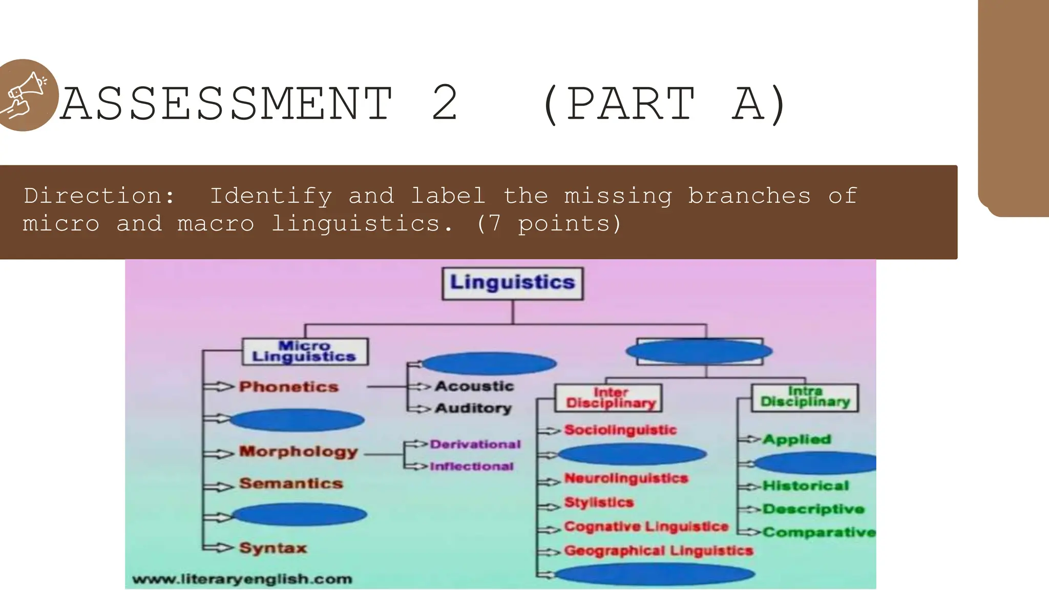 micro and macro linguistics | PPTX