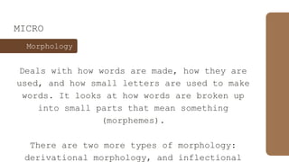 micro and macro linguistics | PPTX