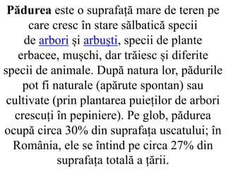 Padurea | PPTX