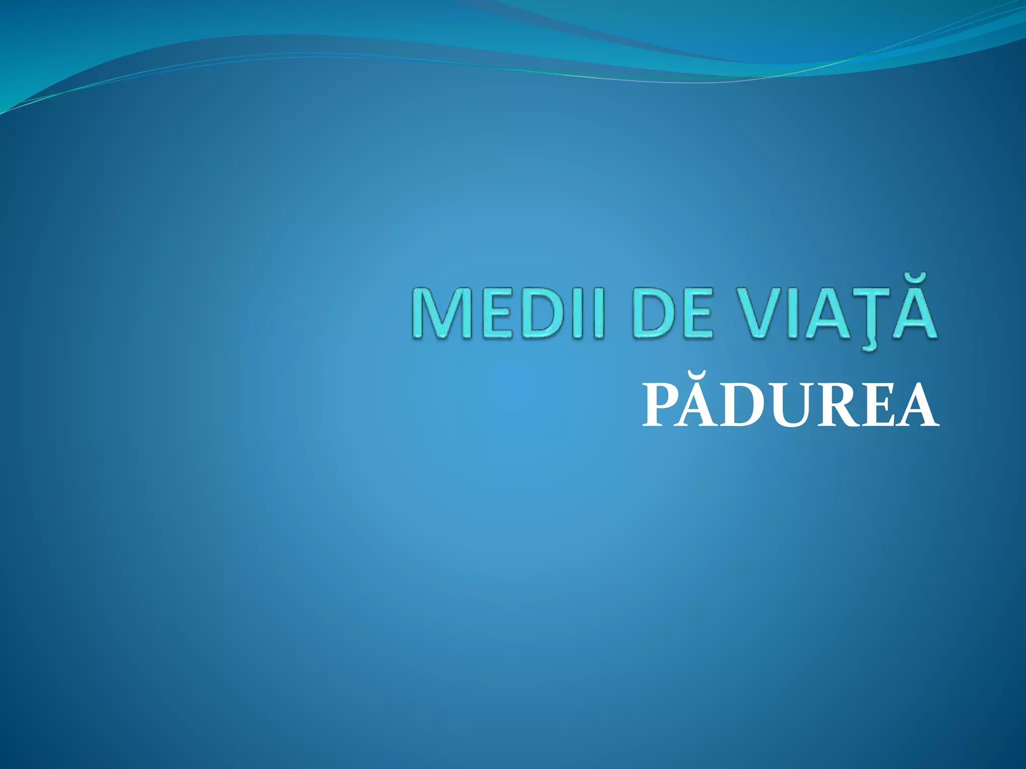 Padurea aurul verde al terrei | PPTX