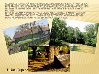 Padurea letea | PPSX