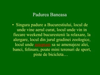 Padurea Baneasa | PPS