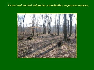 Padurea Baneasa | PPS