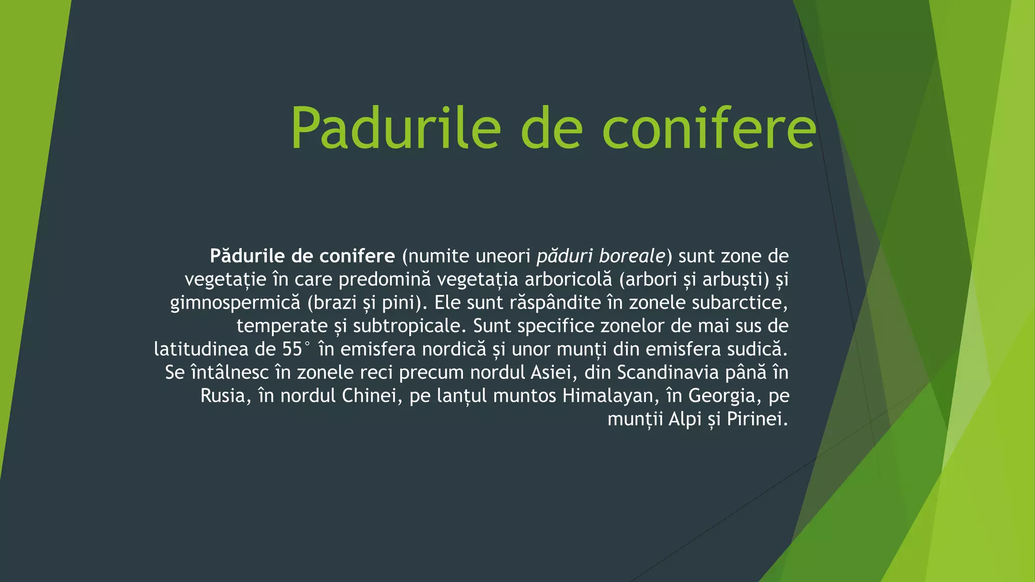 Padurile de Conifere.pptx