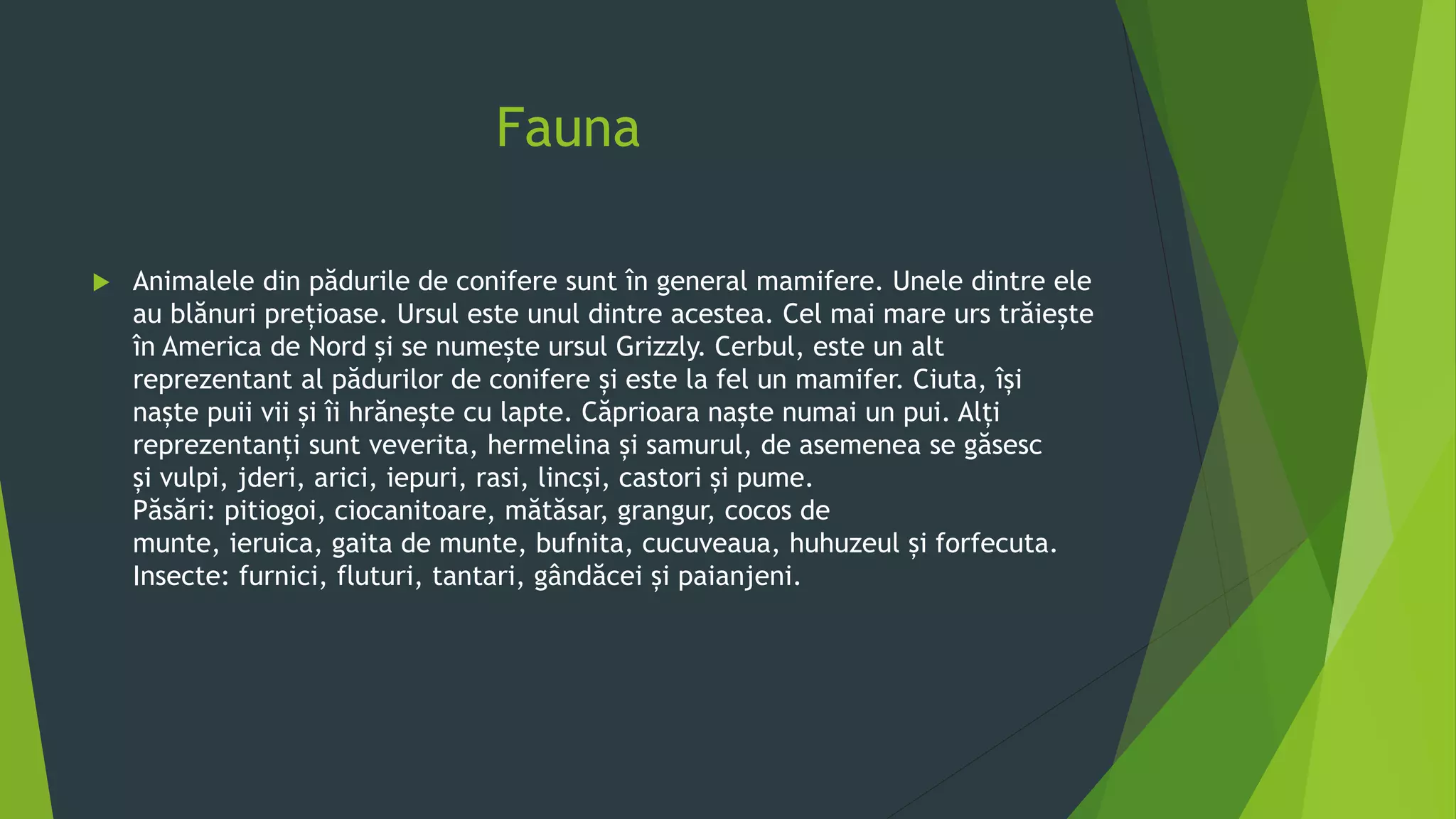 Padurile de Conifere.pptx