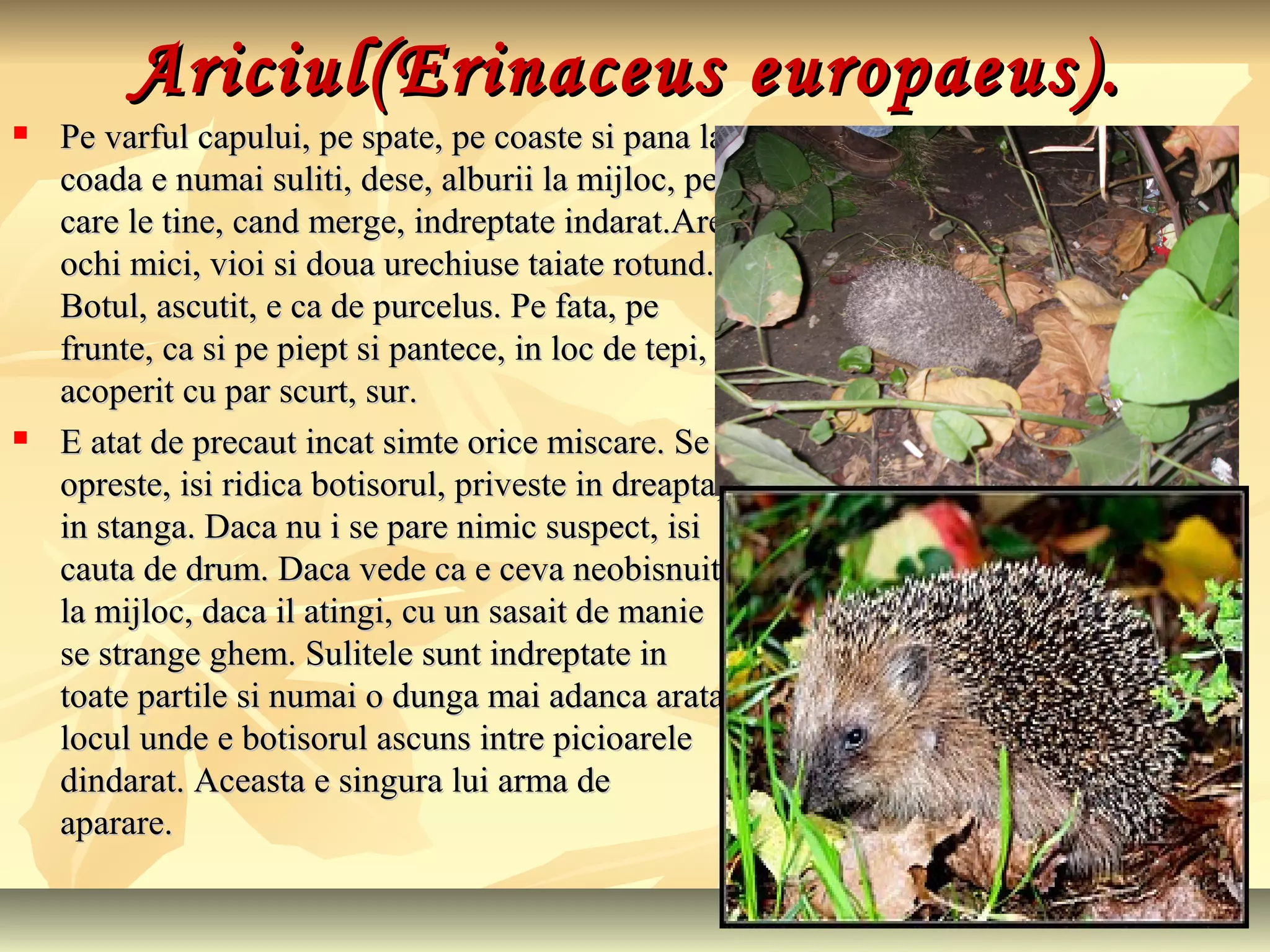 Paduri tropicale.pdf
