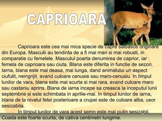 Paduri tropicale.pdf