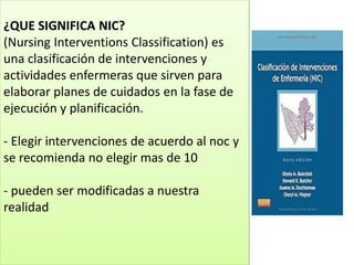 pae. Explicacion de nanda, noc y nicpptx | PPTX