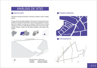 ESQUEMA DE DEFINICION DE ESTRUCTURAS METODOLOGICA Y ANALISI DEL ...
