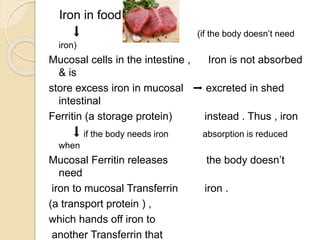 paedia ironpediaticspresentationgmc222.pptx