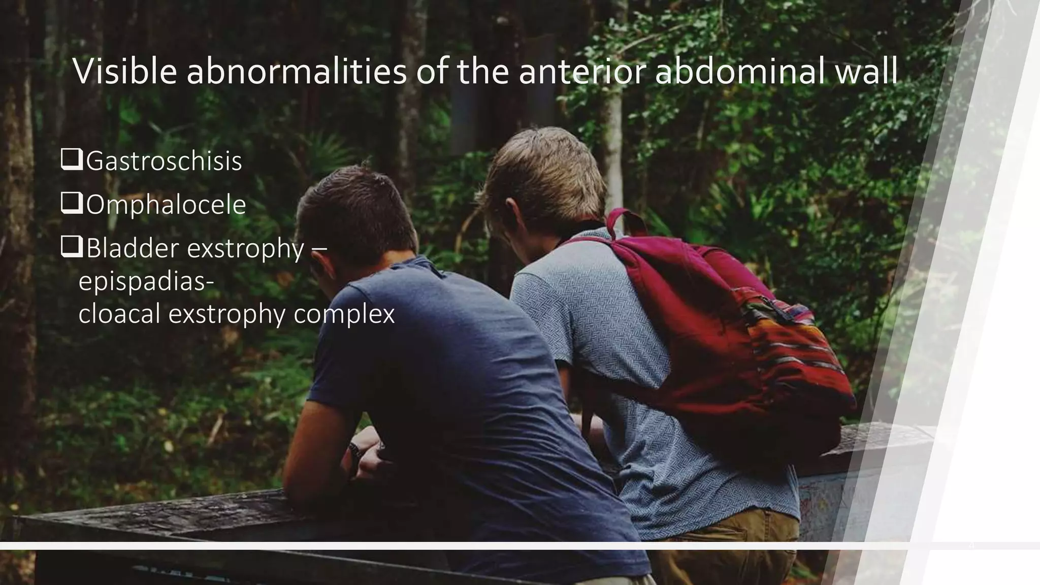 Paediatric Abdominal Imaging ( Grainger and Allison diagnostic ...