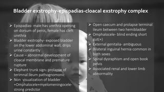 Paediatric Abdominal Imaging ( Grainger and Allison diagnostic ...