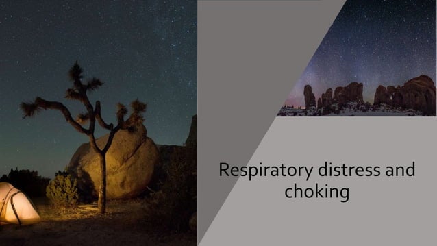Paediatric Abdominal Imaging ( Grainger and Allison diagnostic ...