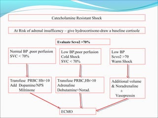 Paediatric septic-shock | PPT