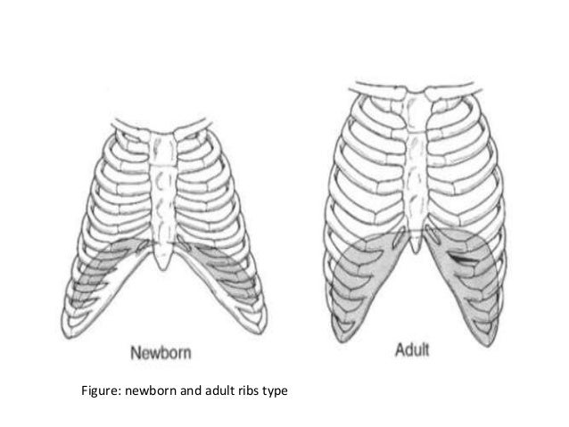 Paediatric anatomy and physiology for Anaesthesia