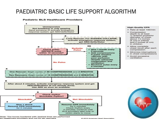 Paediatric bls and choking algorithm