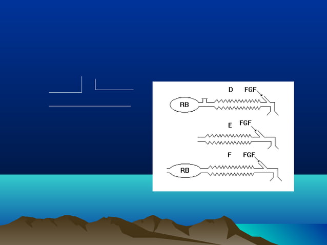 Paediatric breathing systems | PPT
