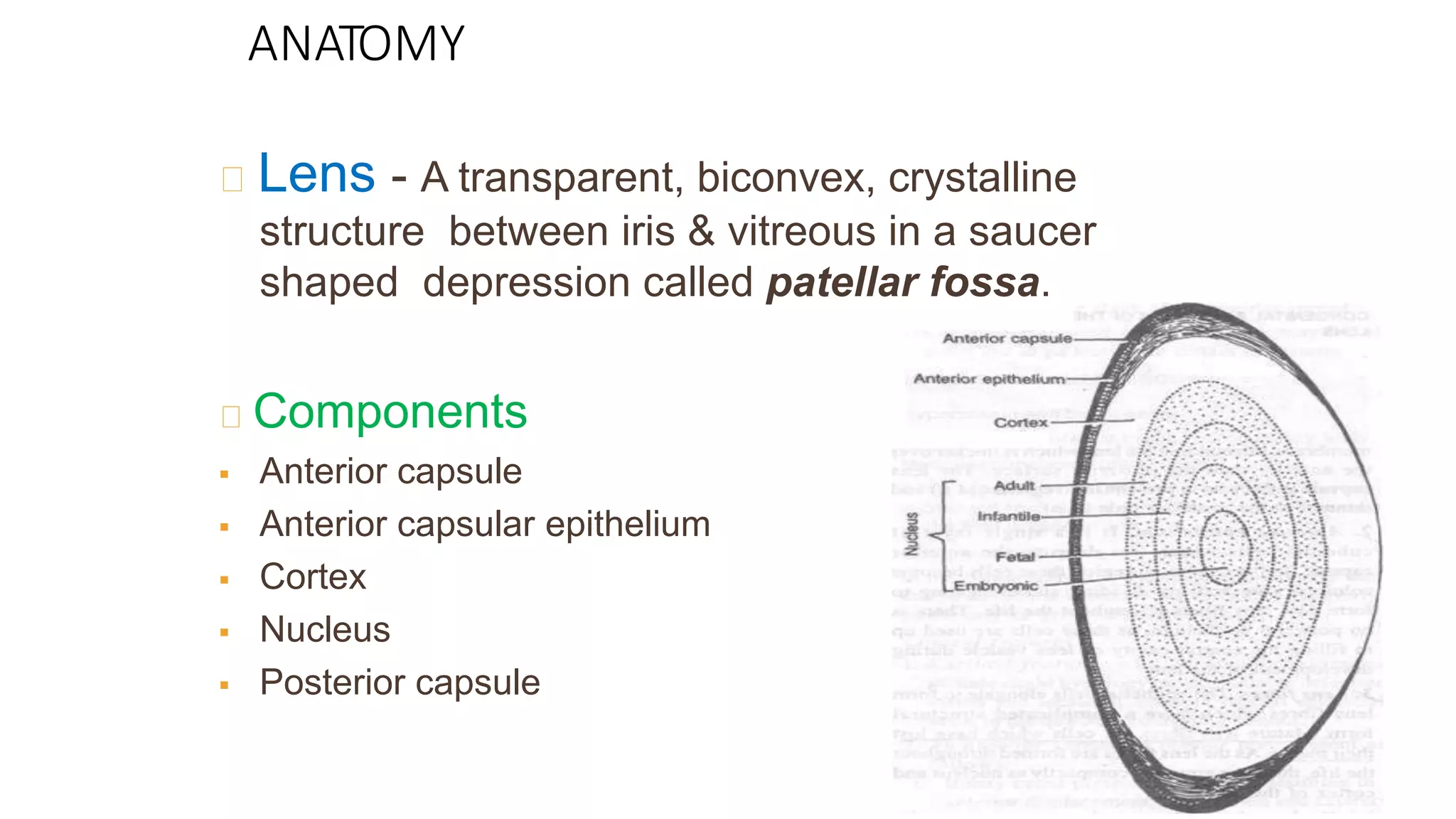 Paediatric cataract -DR ARNAV SAROYA | PPT