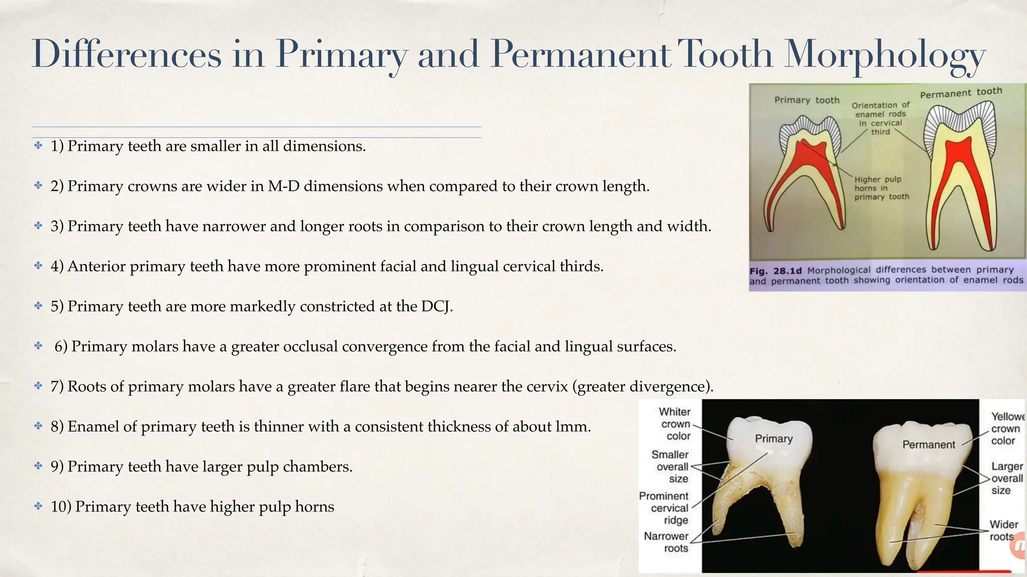 Paediatric Endodontics.pdf