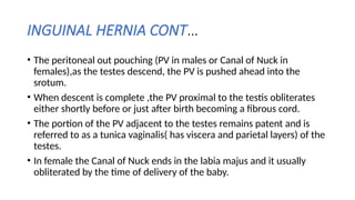 PAEDIATRIC HERNIA & HYDROCELE. pptx | PPTX