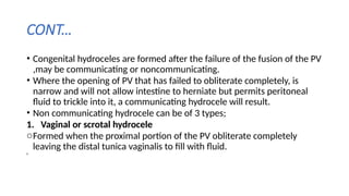 PAEDIATRIC HERNIA & HYDROCELE. pptx | PPTX