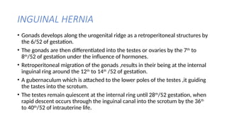 PAEDIATRIC HERNIA & HYDROCELE. pptx | PPTX