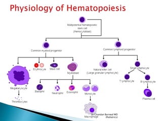 Paediatric leukemia | PPTX