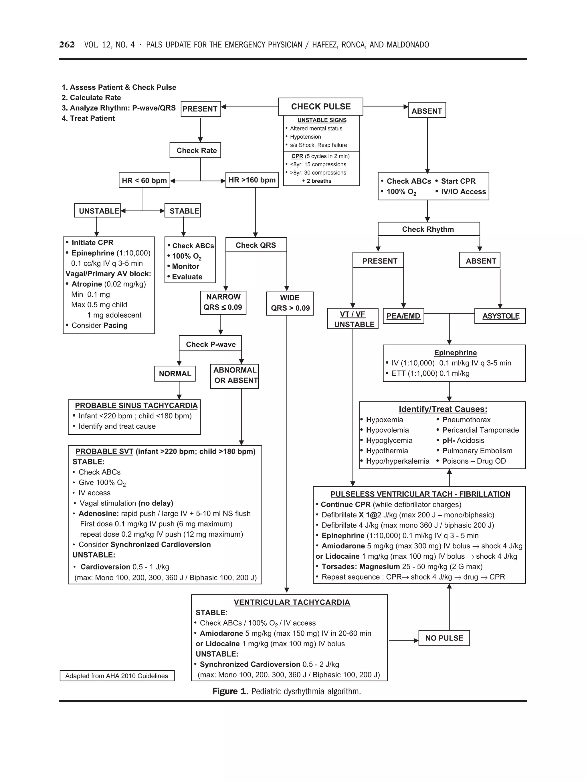 Paediatric life support updated guidelines | PDF