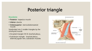 PAEDIATRIC MASSES OF THE NECK..pptx
